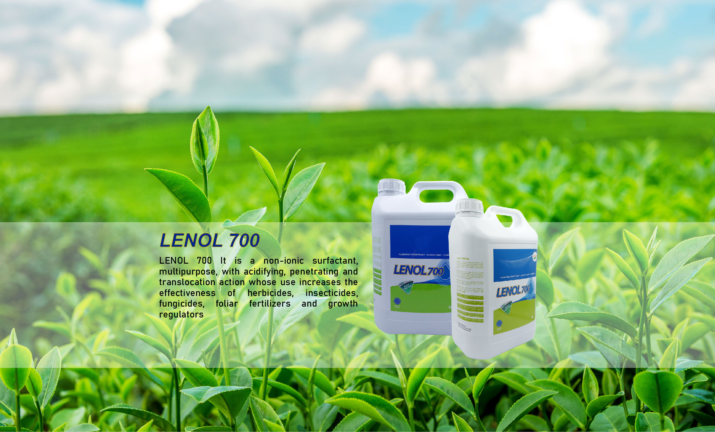 Rawabi Emirates – Rawabi Emirates